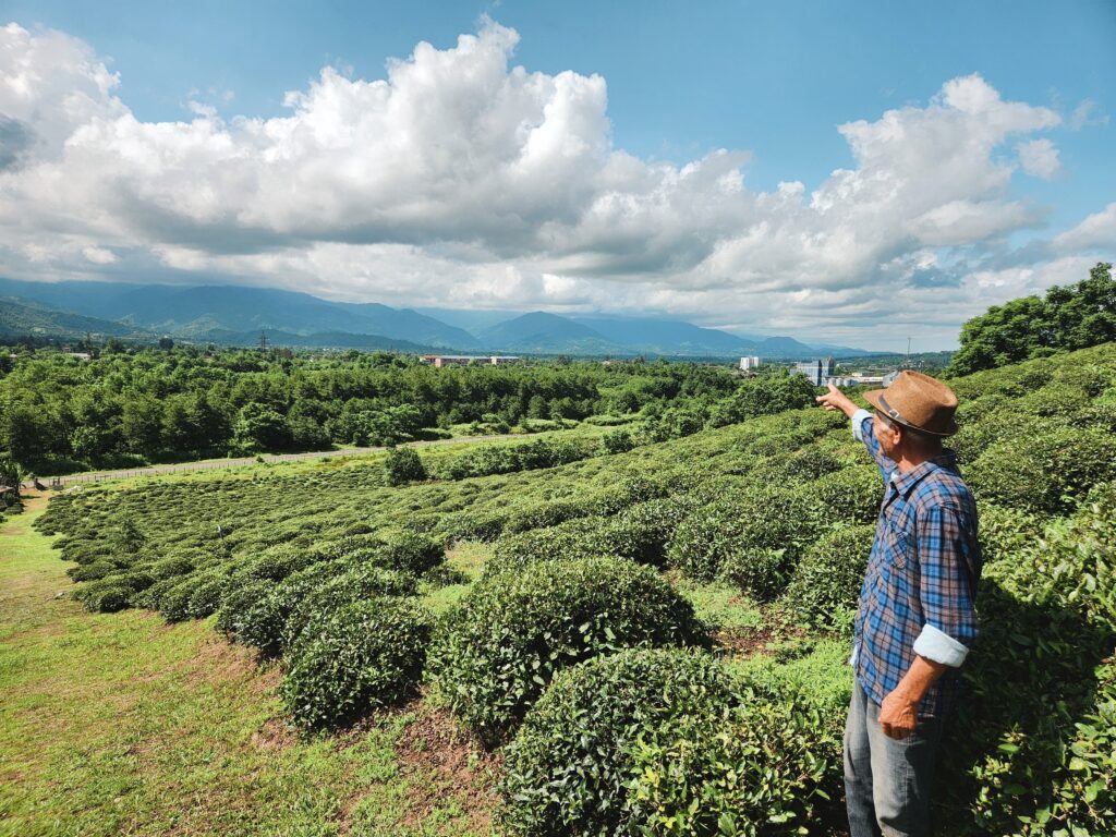 Things to Do in Batumi: Black Sea Food, Sights & Attractions