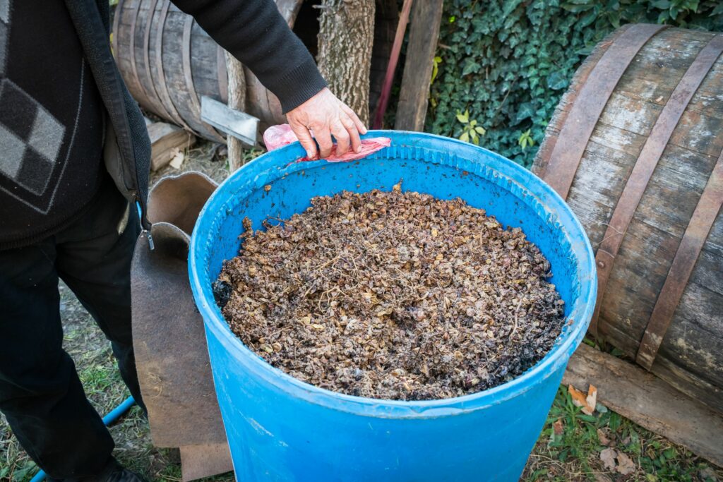 A Complete Guide to Georgian Chacha - "Georgian Vodka"